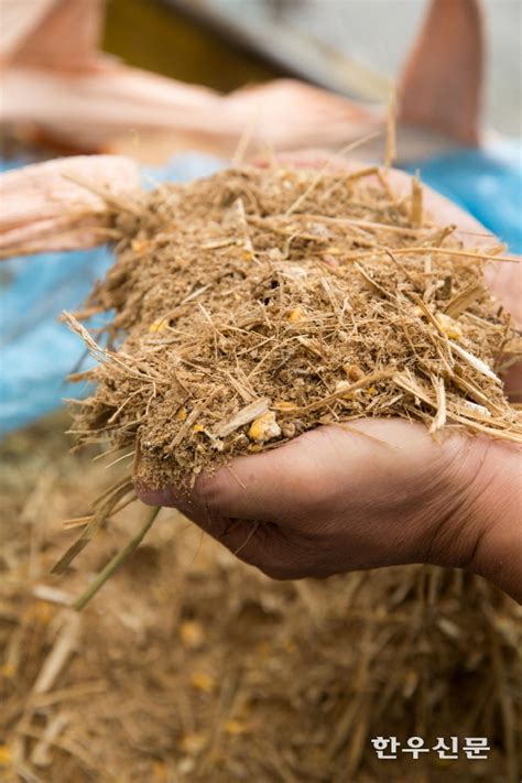 Tmr사료 방식 확대 보급이 탄소중립 실천 현실적 대안 Tmr사료 방식 확대 보급이 탄소중립 실천 현실적 대안