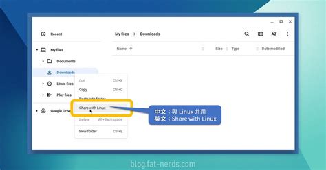 Chrome Os上把檔案分享給linux沙盒使用 • Fnb Fat Nerds Blog