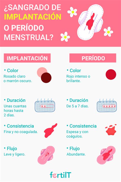 Sangrado De Implantación Qué Es Síntomas Y Cuánto Dura Clínica De