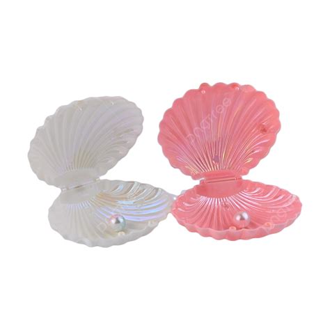 진주 조개 바다 조개 펜던트 진주 조개 정물 조가비 Png 일러스트 및 이미지 에 대한 무료 다운로드 Pngtree