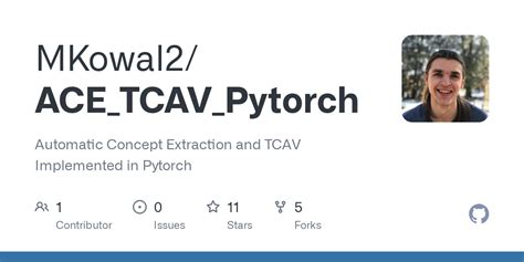 Github Mkowal2acetcavpytorch Automatic Concept Extraction And