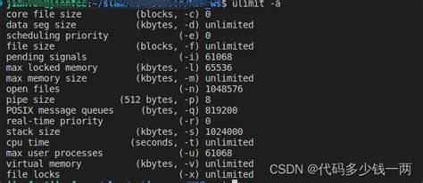 程序执行到一半报错“`malloc Mismatching Next ＞prevsize Unsorted`”死掉malloc