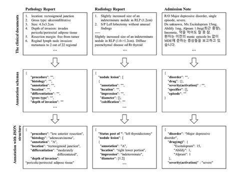 Examples Of Annotating Certain Types Of Clinical Documents And Their Download Scientific