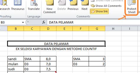 memproteksi data memperlihatkan password pada worksheet excel
