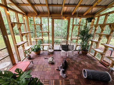 30 Free Diy Catio Plans Diy Outdoor Cat Enclosure Outdoor Cat