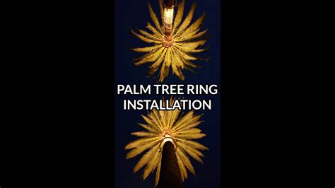 Roto Lighting Palm Tree Ring Installation Palm Tree Lighting Youtube