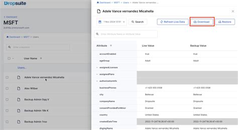 Entra Backup For End User Dropsuite