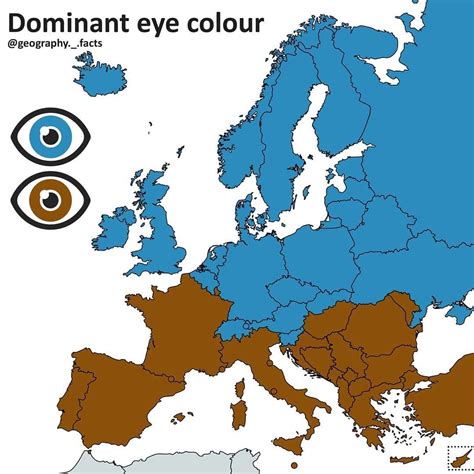 An Overview Of Eye Color Percentages Across The World Hwdynp