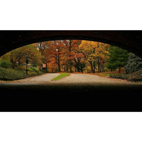 Fall Color Palatte Ken Dapper