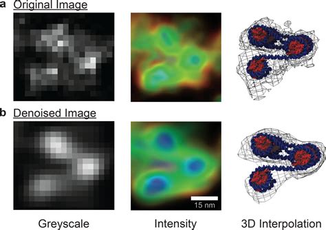 Denoising Autoencoder Trained On Simulation Derived Structures For Noise Reduction In Chromatin
