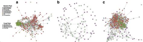 Lung Microbiome Networks Networks Inferred For The Lung Microbiome Download Scientific Diagram