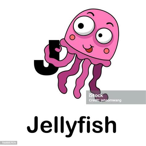 알파벳 문자 J 해파리 공부에 대한 스톡 벡터 아트 및 기타 이미지 공부 교육 귀여운 Istock