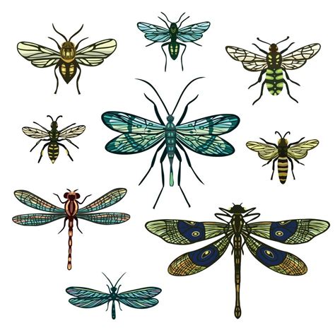 Set Of Different Flying Insects 7924882 Vector Art At Vecteezy