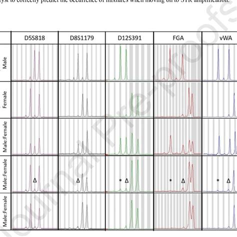Str Profiles Obtained From Ancient Dna Samples Post Pcr Each Profile Download High Quality