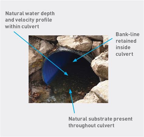 Checklist For Consenting In Stream Fish Passage Pandf Global