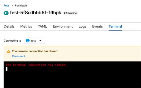 Opening Pod S Terminal Fails With The Terminal Connection Has Closed In Openshift Red Hat