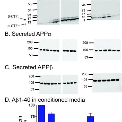 In Vitro Properties Of Gamma Secretase Inhibitors Download Table
