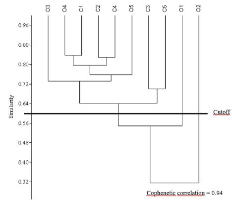 Cluster Analysis Of Similarity Bray Curtis Index Relation Between Download Scientific