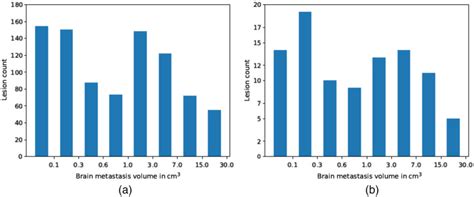 Evaluating Deep Learning Methods In Detecting And Segmenting Different Sizes Of Brain Metastases