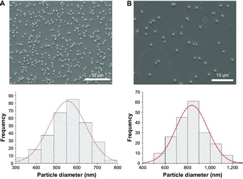 Scanning Electron Microscope And Corresponding Size Distribution Graphs Download Scientific