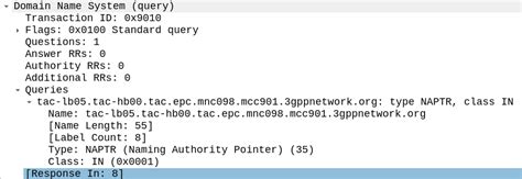 3gpp Dns Nick Vs Networking