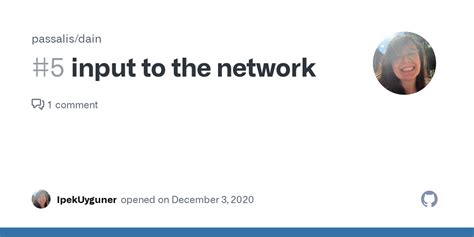 Input To The Network Issue Passalis Dain Github