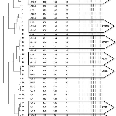 Pdf Assessment Of Two Multilocus Sequence Typing Schemes Mlst