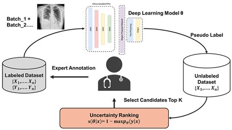 Active Learning Framework With Pseudo Labeling Download Scientific Diagram