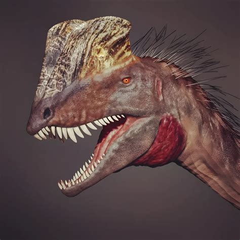 All About Dilophosaurus