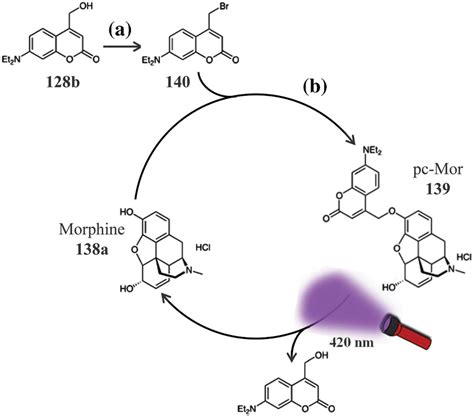 Design And Synthesis Of Photocaged Morphine The Synthesis Of Download Scientific Diagram