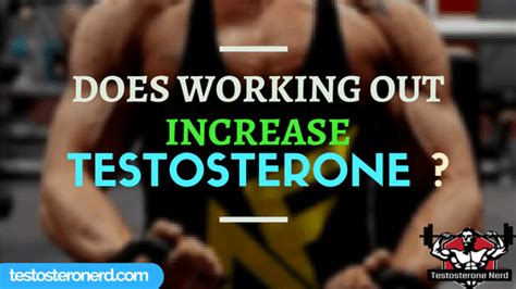 Does Working Out Increase Testosterone Best Exercises Testosteronerd