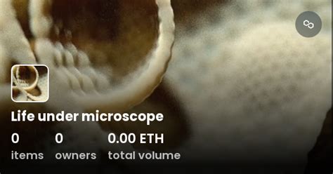 Life Under Microscope Collection Opensea