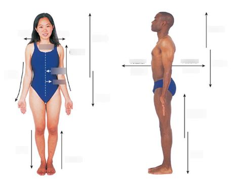 Exam 1 Diagram Diagram Quizlet