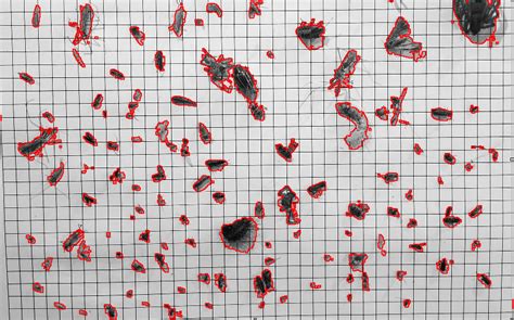 How To Remove Grid Lines From An Image Image Analysis Image Sc Forum