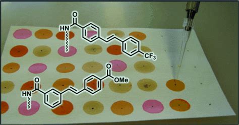 Small Molecule Macroarray Construction Via Palladium‐mediated Carbon
