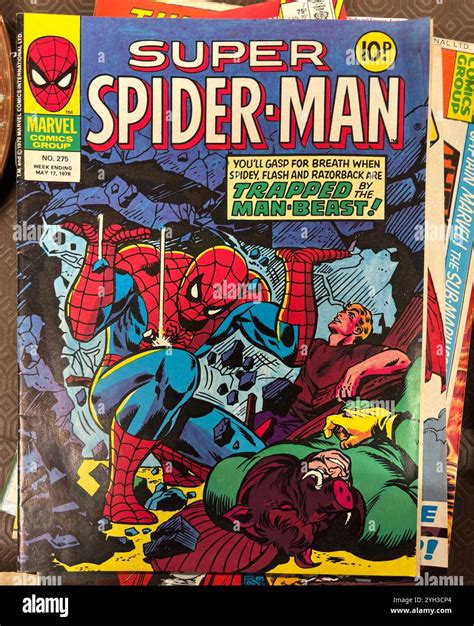 Spiderman Comic Cover Vintage