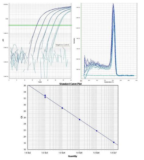 Labcompare Product Review Easy To Use Real Time Pcr Machine With Automation Capabilities
