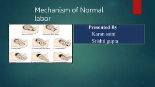 Mechanism Of Normal Labour Types Of Female Pelvis Pptx