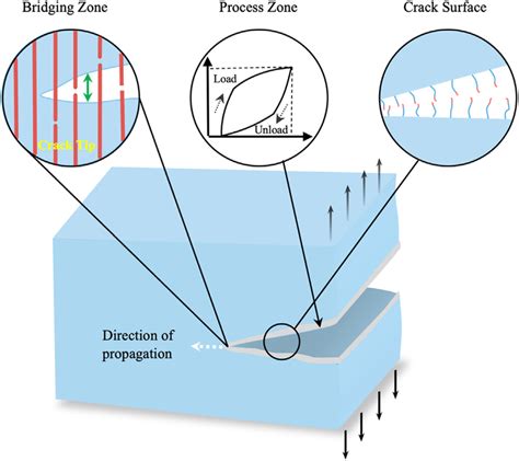 Schematic Illustration Of Crack Propagation In A Hydrogel 197198 Download Scientific