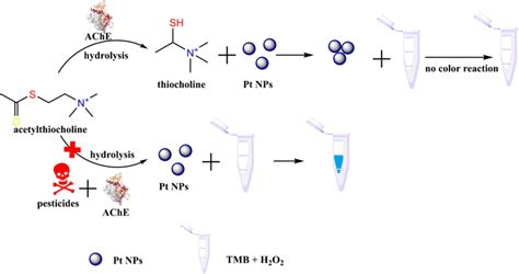 Schematic Diagram For The Detection Of Pesticides Using This Method