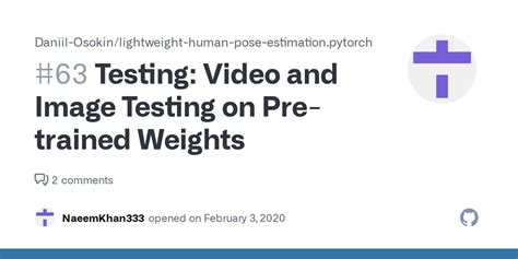 Testing Video And Image Testing On Pre Trained Weights Issue Daniil Osokin Lightweight