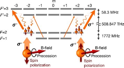 Simplified Diagram Of The Hyperfine Structure Of Sodium Including