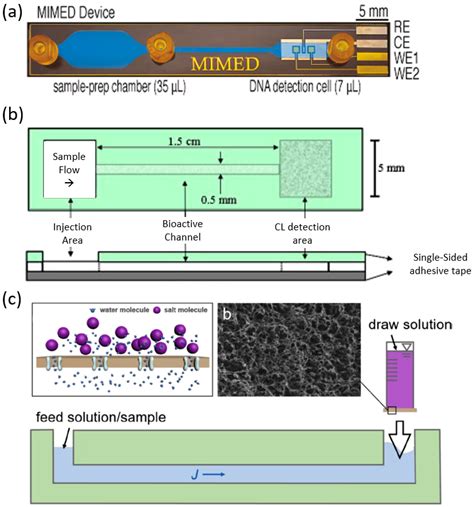 Recent Advances In Portable Biosensors For Biomarker Detection In Body Fluids