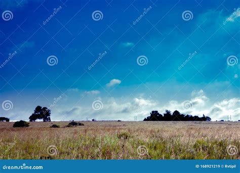 South African Grass Field And Sky Landscape Stock Image Image Of