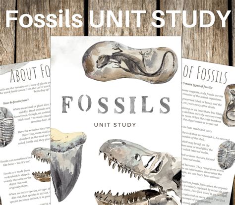 Fossils Unit Study Anatomy Nature Study Science Handwriting