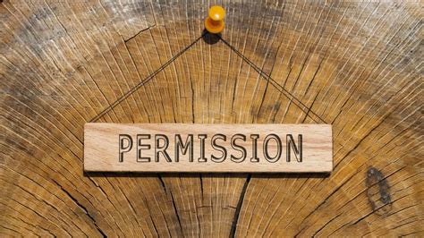 UK Tree Cutting Permissions The Essential Guide By DH Trees