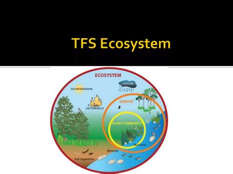 Application Lifecycle Management With Tfs Ppt