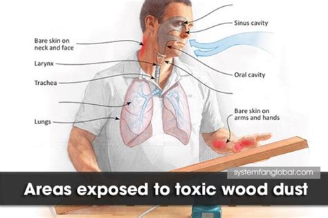 What Is Wood Dust How Is Wood Dust Harmful To Human Health
