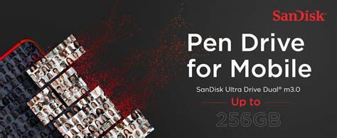 Sandisk Ultra Dual Gb Usb Otg Pen Drive Black Amazon In Electronics
