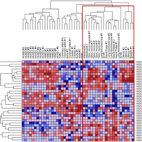 Heat Map And Hierarchical Clustering Of Publically Available Microarray
